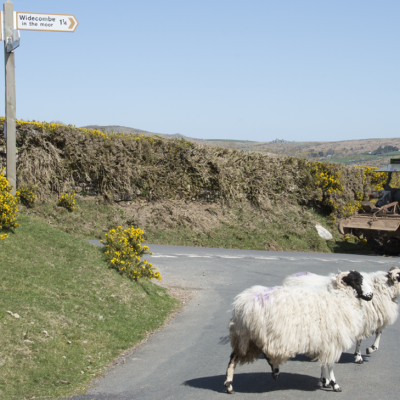 Lack of rural road safety is a bigger problem than tractor congestion ...